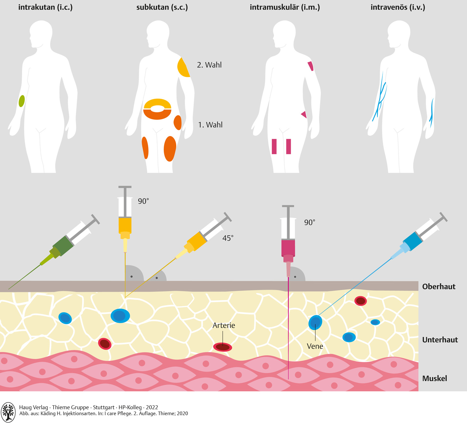 Heilpraktikerprüfung Lerntipp Januar 2024 – HP Kolleg